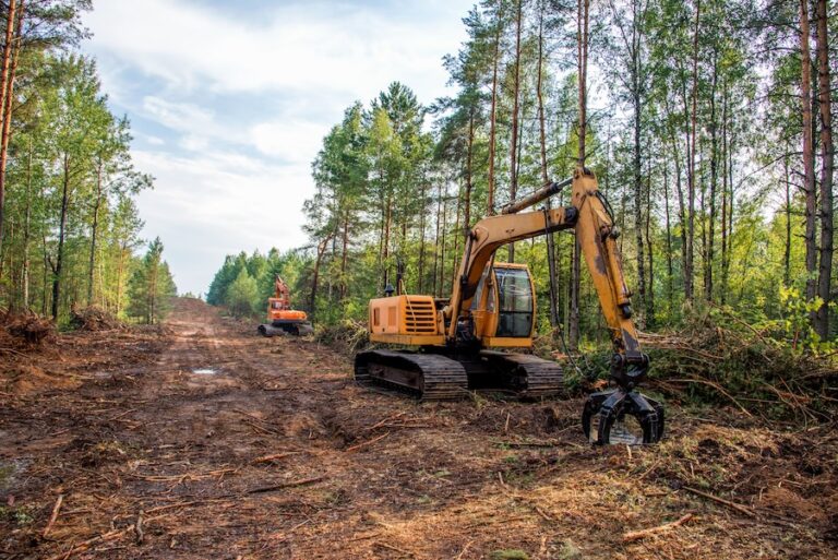 The Ultimate Guide to Professional Land Clearing for Efficient, Safe ...